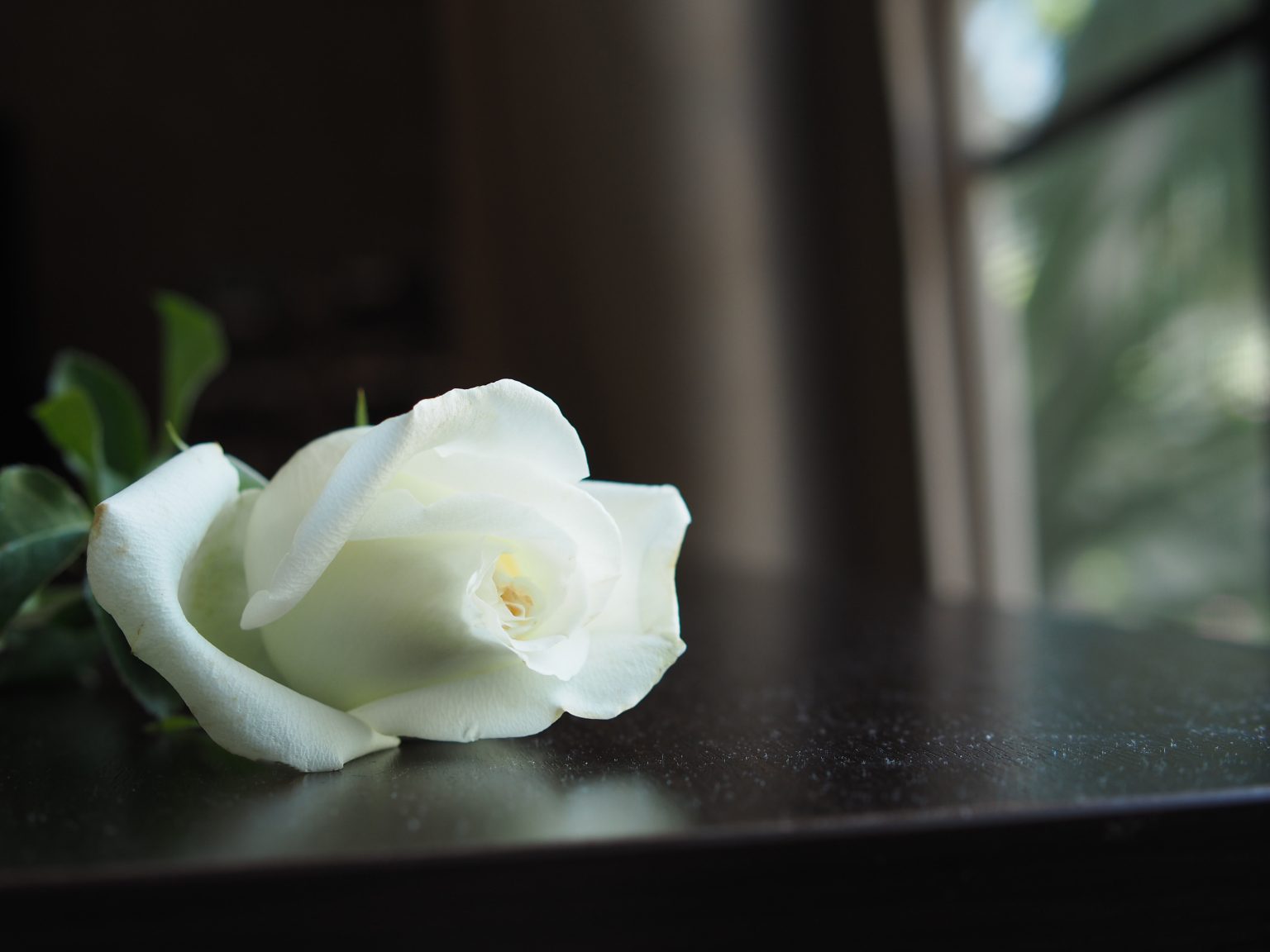 Why Cremation is a Thoughtful Choice Over Traditional Burial